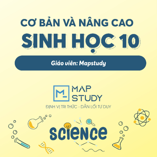 Khoá học - Mapstudy.vn